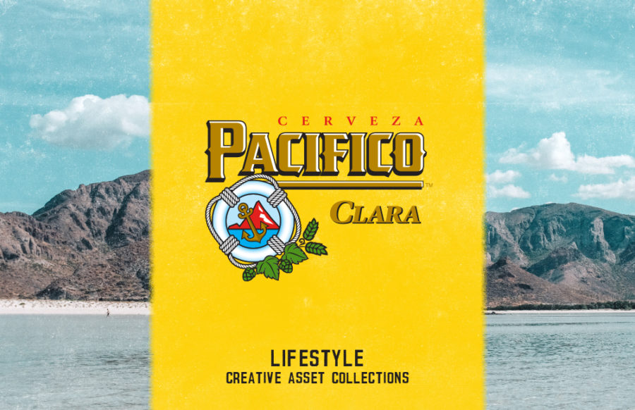 Product Vision & Design Assets for Pacifico Licensing | StyleWorks