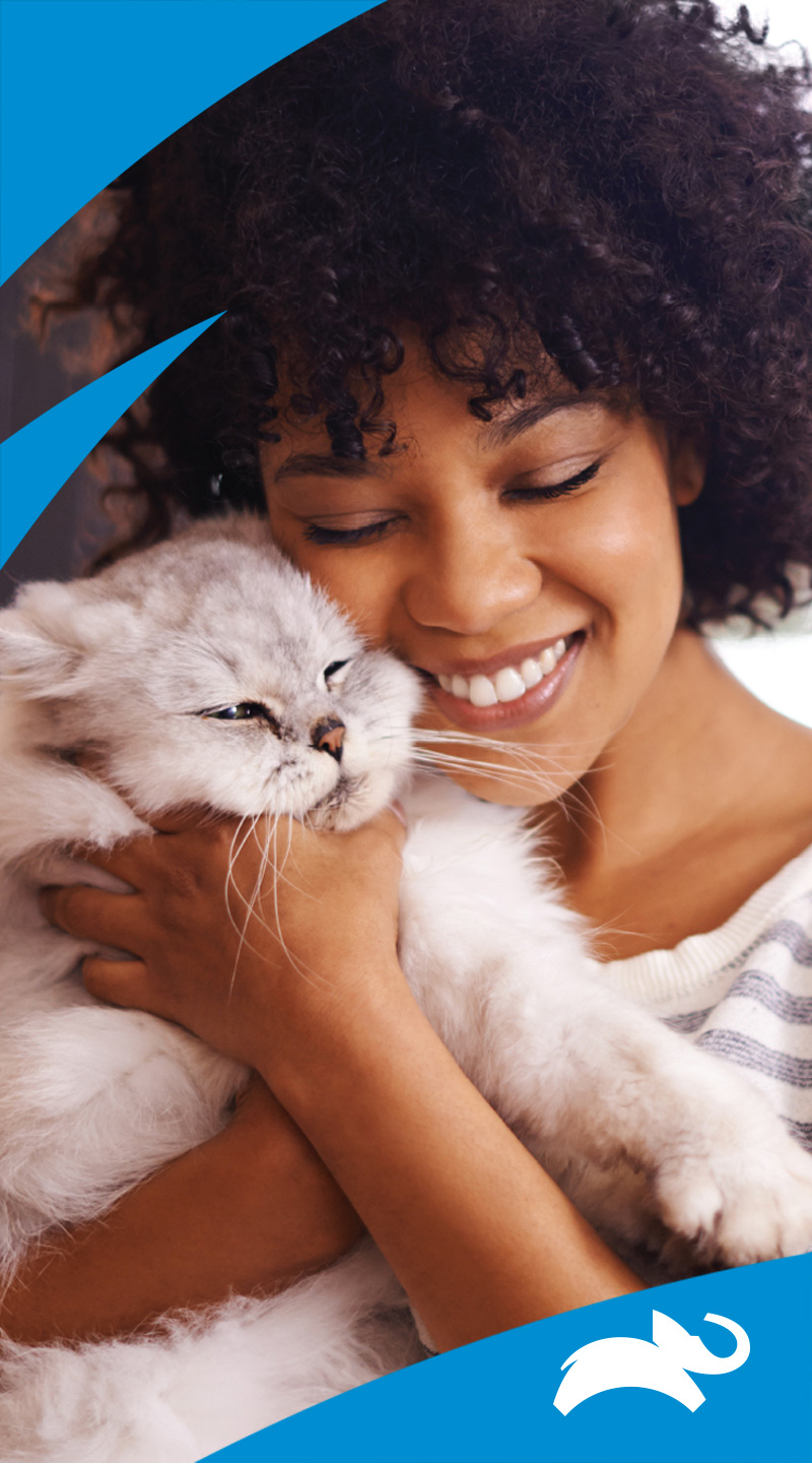 Packaging Design for Animal Planet Pets | StyleWorks Creative